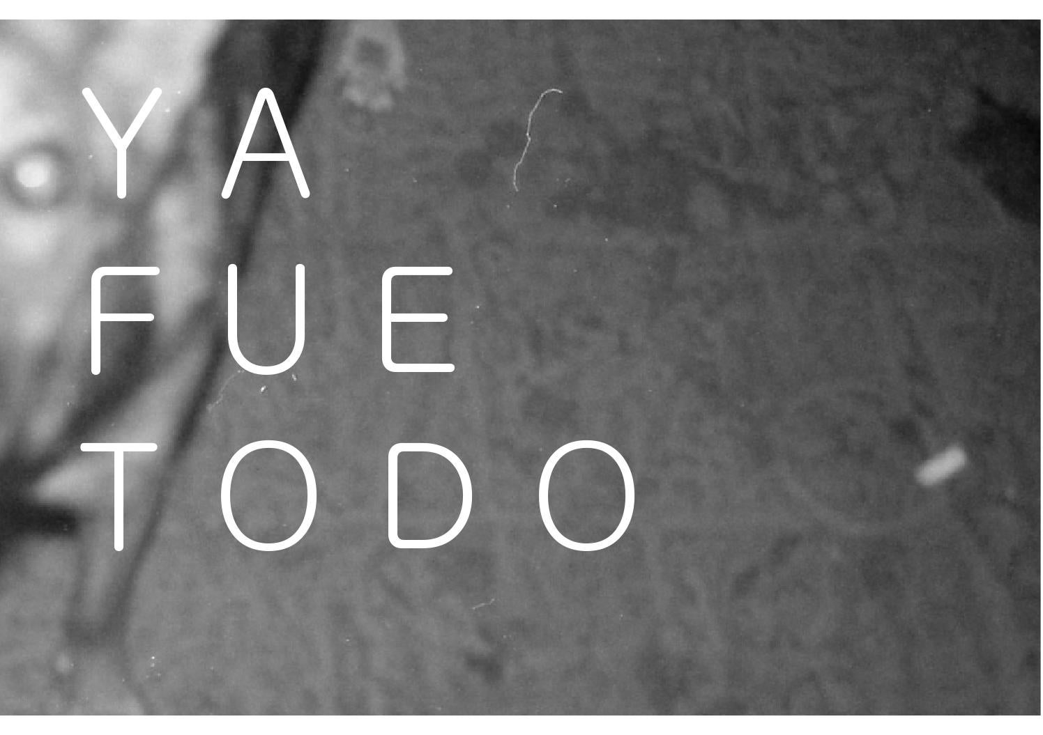 YA FUE TODO #Fotozine by Are you a cop or what? #zine - Issuu