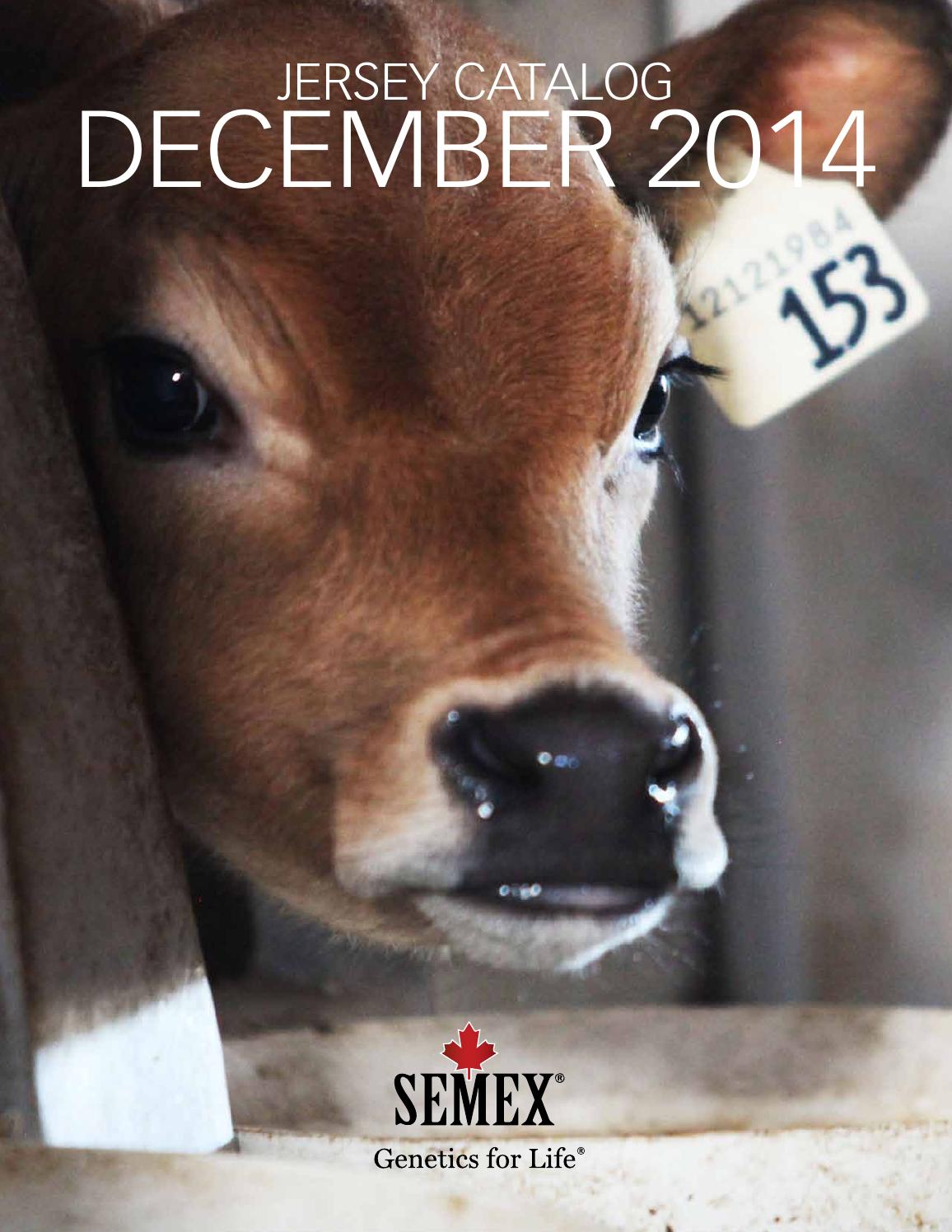 Semex - December 2014 USA Jersey Catalog by Semex - Issuu