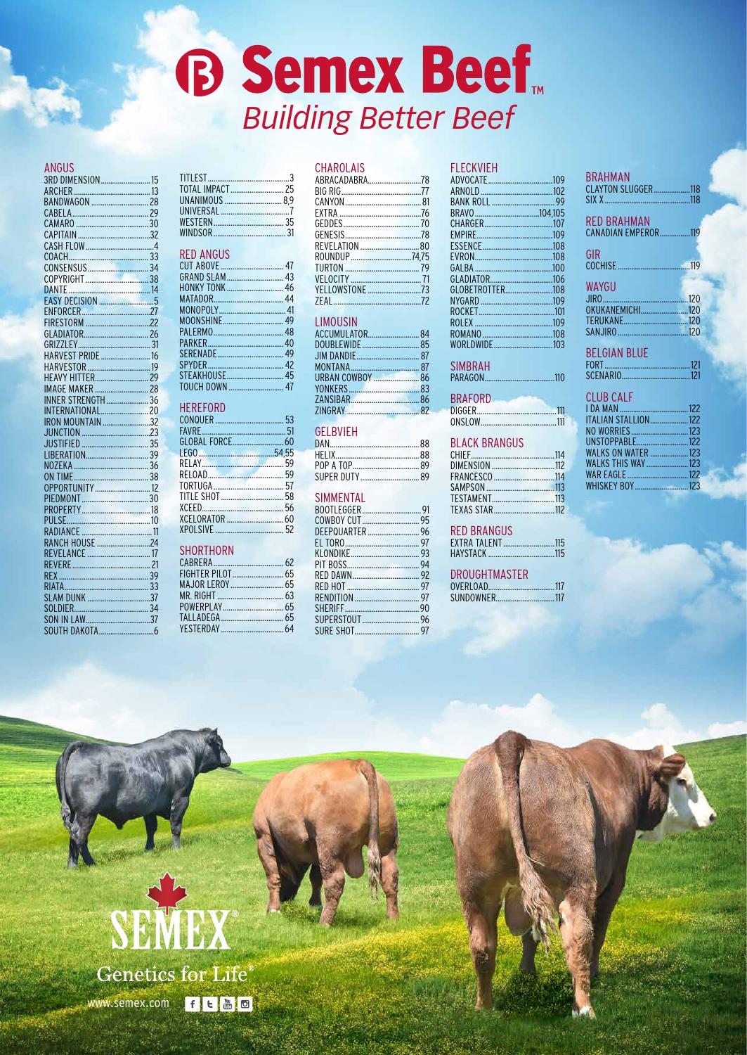 2015 International Semex Beef Catalogue by Semex - Issuu