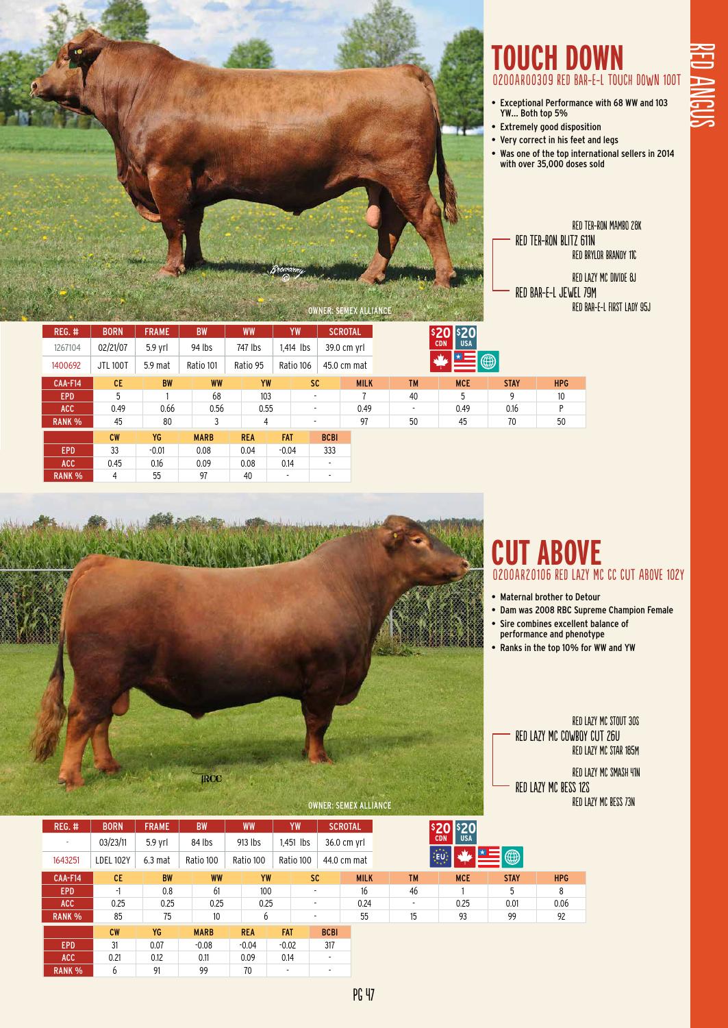 2015 International Semex Beef Catalogue by Semex - Issuu