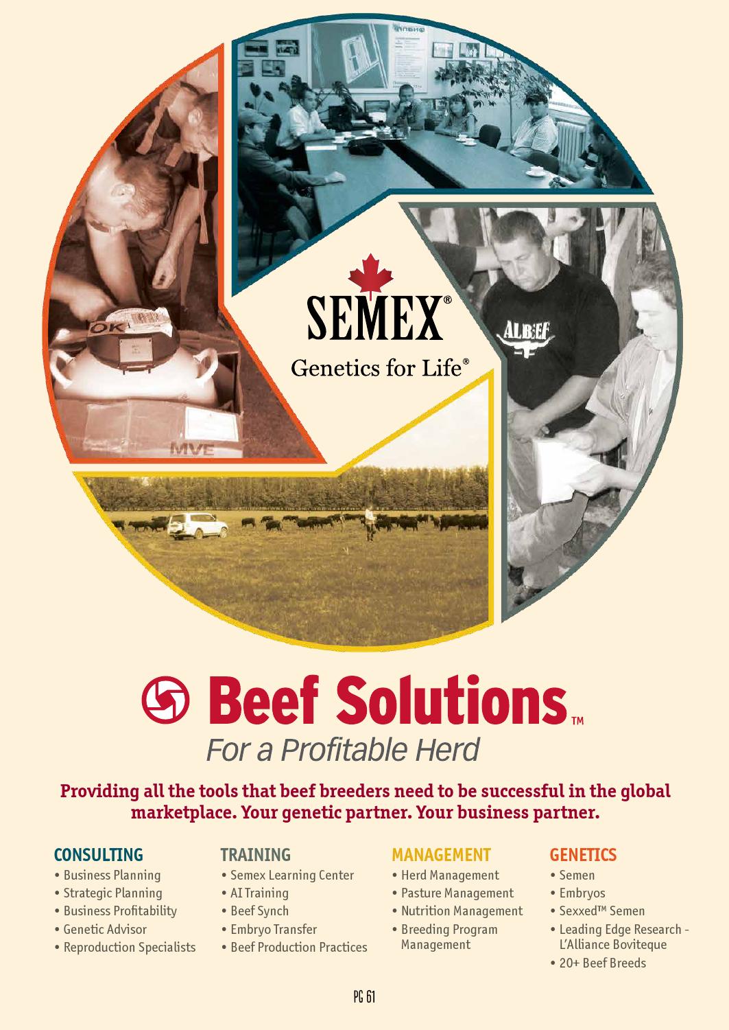 2015 International Semex Beef Catalogue by Semex - Issuu