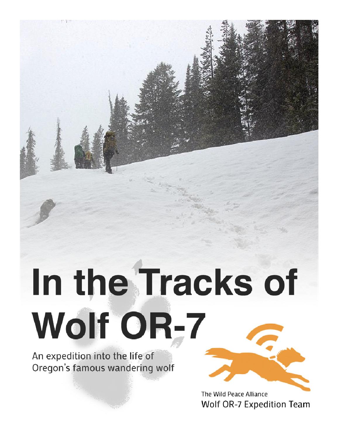 In the Tracks of Wolf OR-7 by jay simpson - Issuu