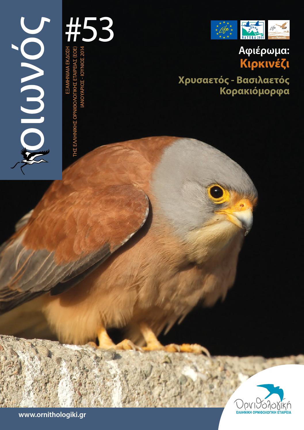 Περιοδικό Ορνιθολογικής "Οιωνός" Τεύχος 53. HOS/BirdLife Greece ...