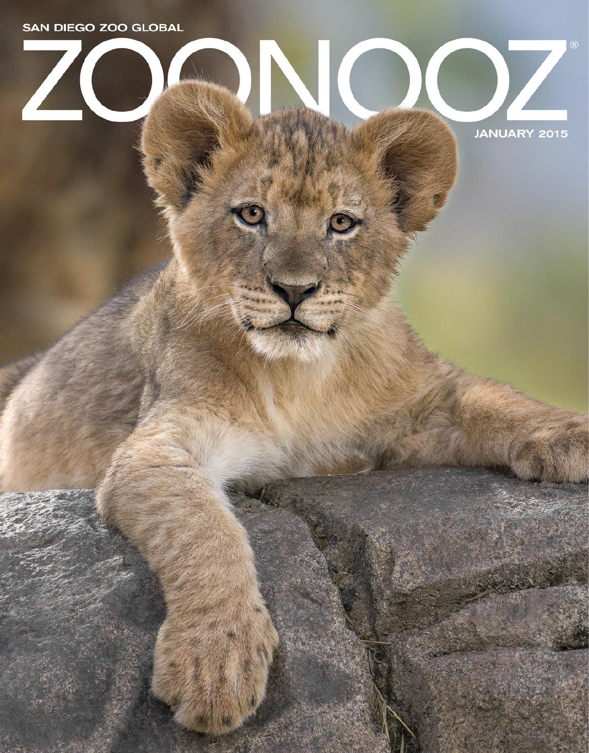 ZOONOOZ January 2015 by San Diego Zoo Wildlife Alliance - Issuu