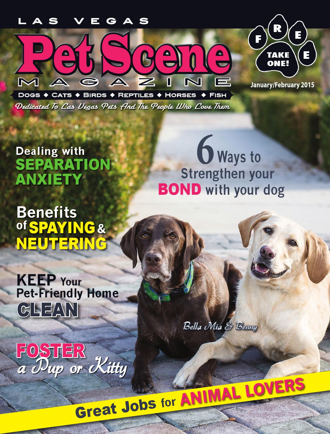 Las Vegas Pet Scene Magazine - January/February by Homes Illustrated/LV ...