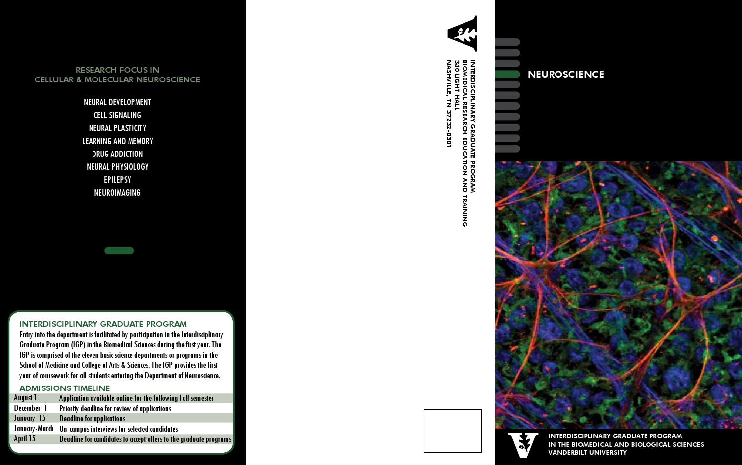 Neuroscience Brochure | 2011 by Chris Ciarleglio - Issuu