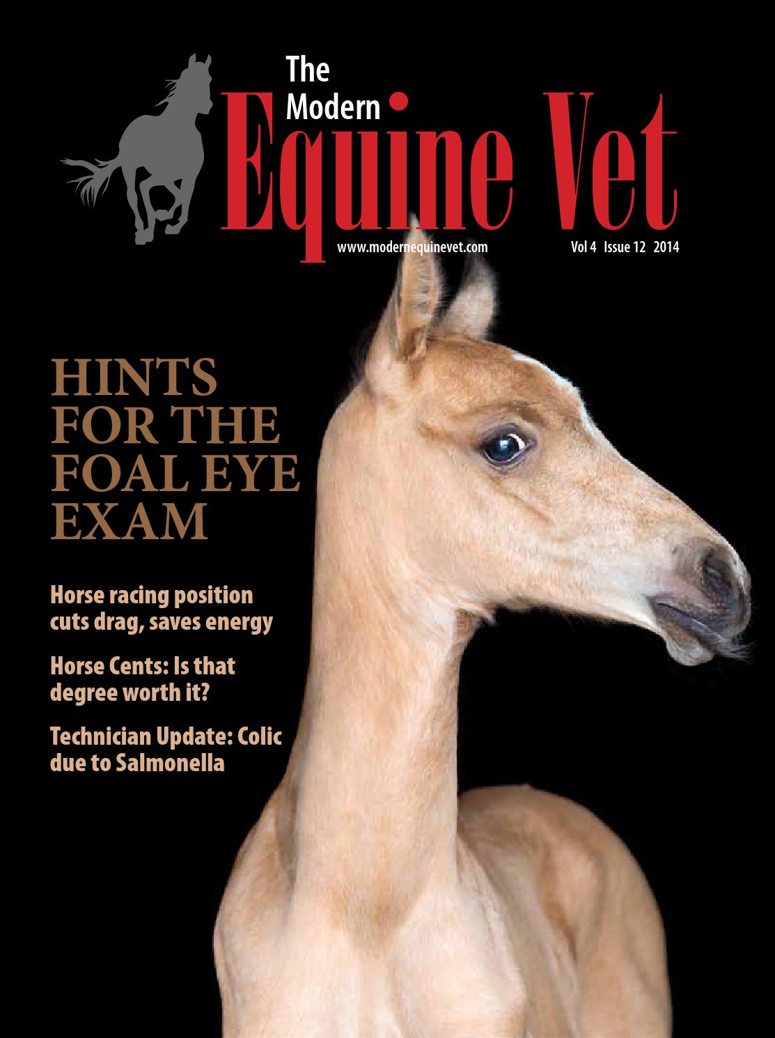 Equinevet December 2014 by The Modern Equine Vet - Issuu
