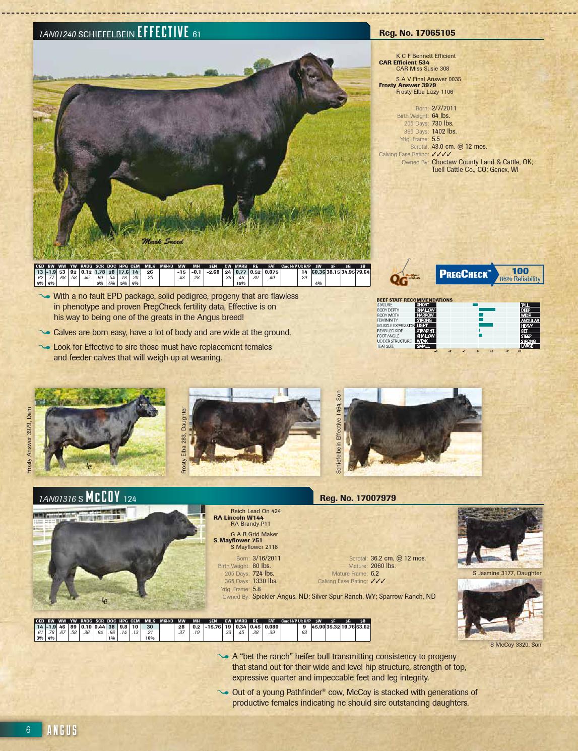 Genex Beef Genetic Management Guide by GENEX - Issuu