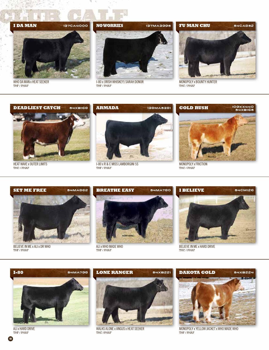 ABS Beef Sire Directory Spring 2015 by ABS Global, Inc. - Issuu