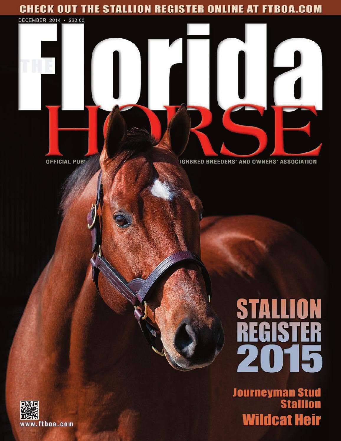 Florida Horse 2015 Stallion Register by Florida Equine Communications ...