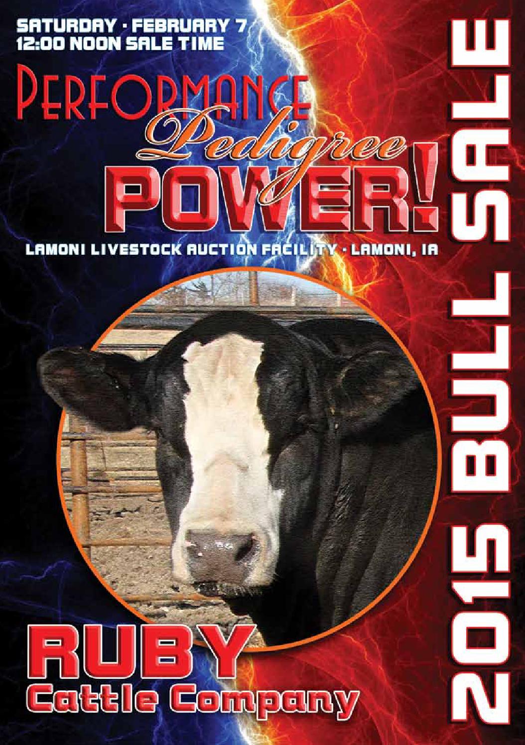 Ruby Cattle Bull Sale 2015 by Eberspacher Enterprises - Issuu