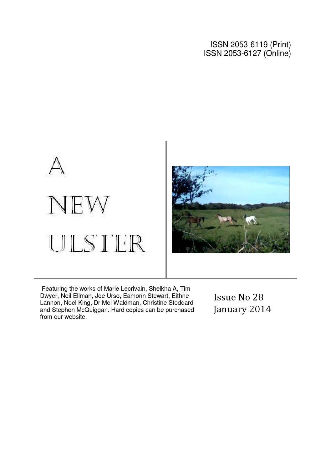 Anu issue 28 / A New Ulster by Amos Greig - Issuu