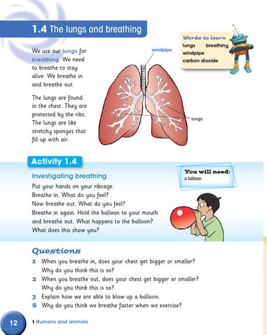 Preview Cambridge Primary Science Learner's Book 6 by Cambridge ...