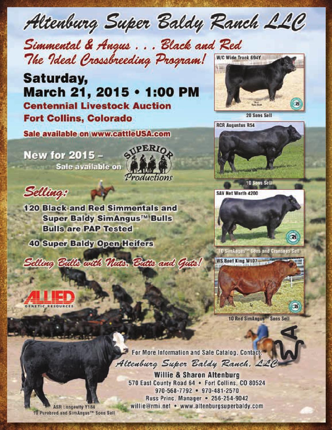 Altenburg Super Baldy Ranch, LLC Bull Sale Flyer 2015 by Barbour ...