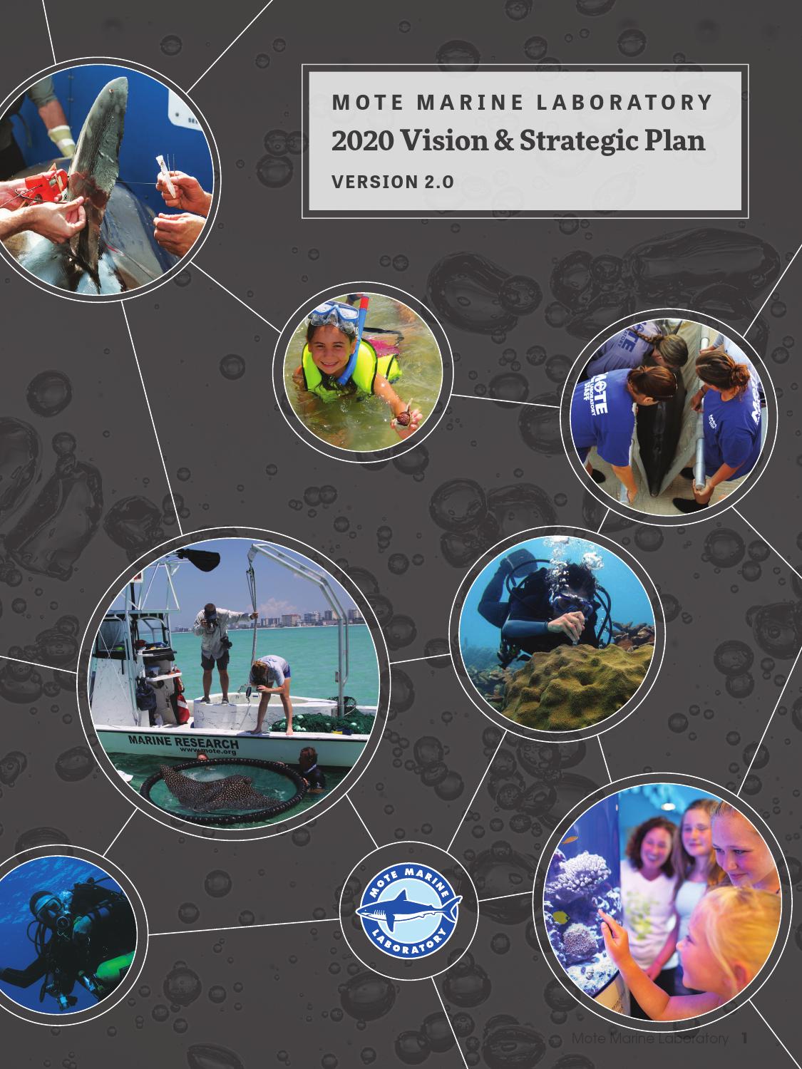 Mote Marine Laboratory 2020 Vision & Strategic Plan Version 2.0 by Mote ...