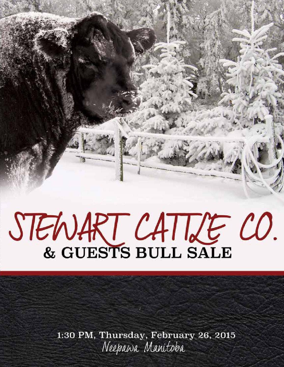 Stewart Cattle Co. by Coyote Publishing Ltd. - Issuu