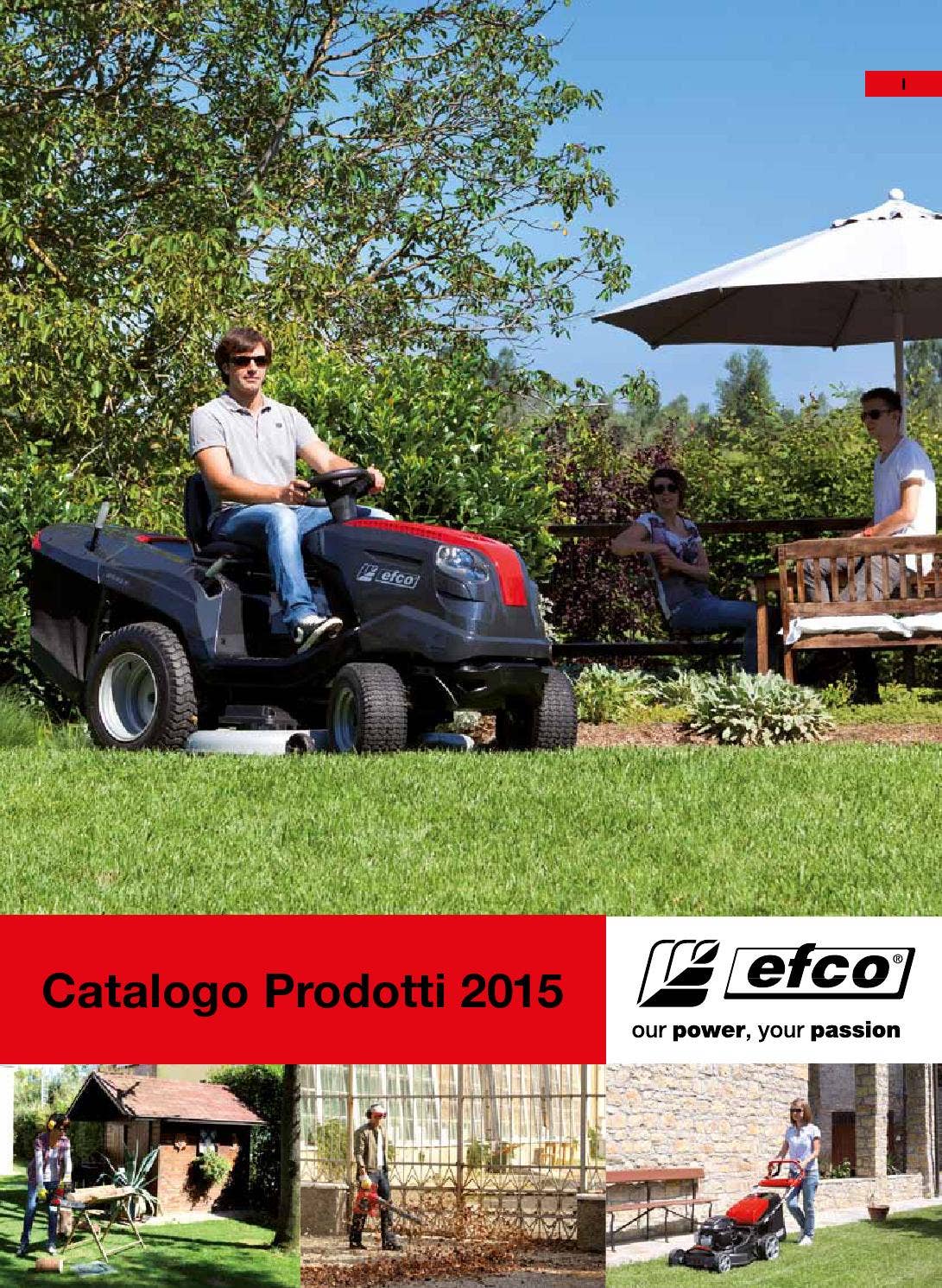 Efco - Catalogo Prodotti Consumer 2015 by Emak Spa - Issuu