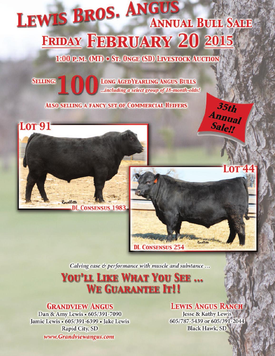 Lewis bros web catalog by RPI Promotions - Issuu