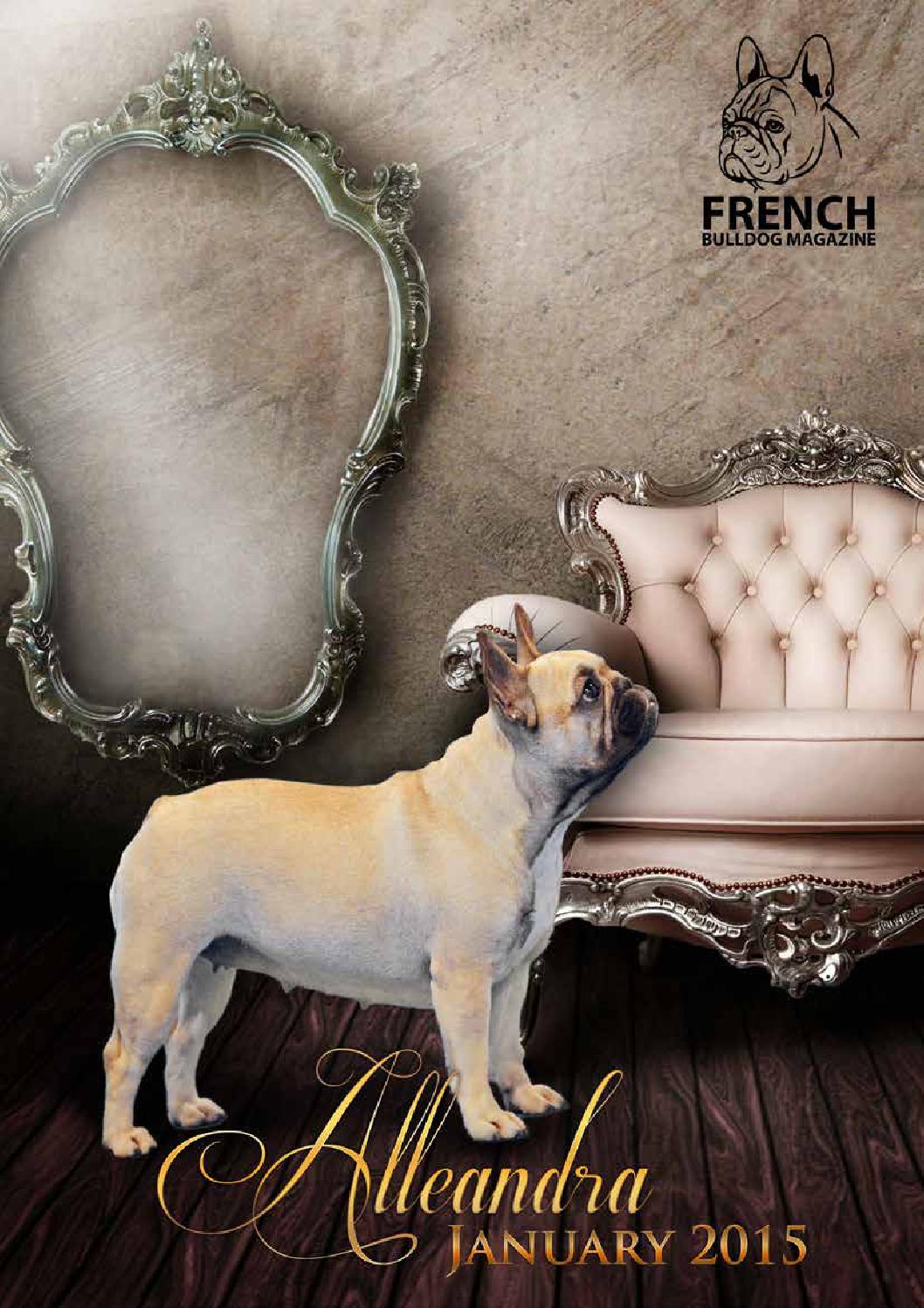 January 2015 French Bulldog Magazine by Theo Koekemoer - Issuu