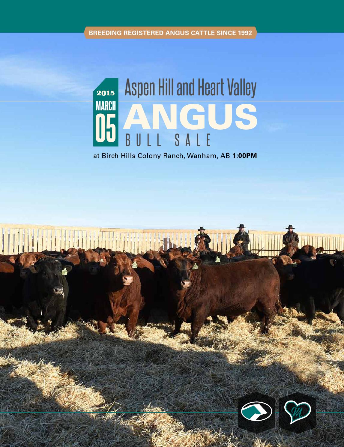 Aspen Hill and Heart Valley Angus Bull Sale by Catalogs by Top Stock ...