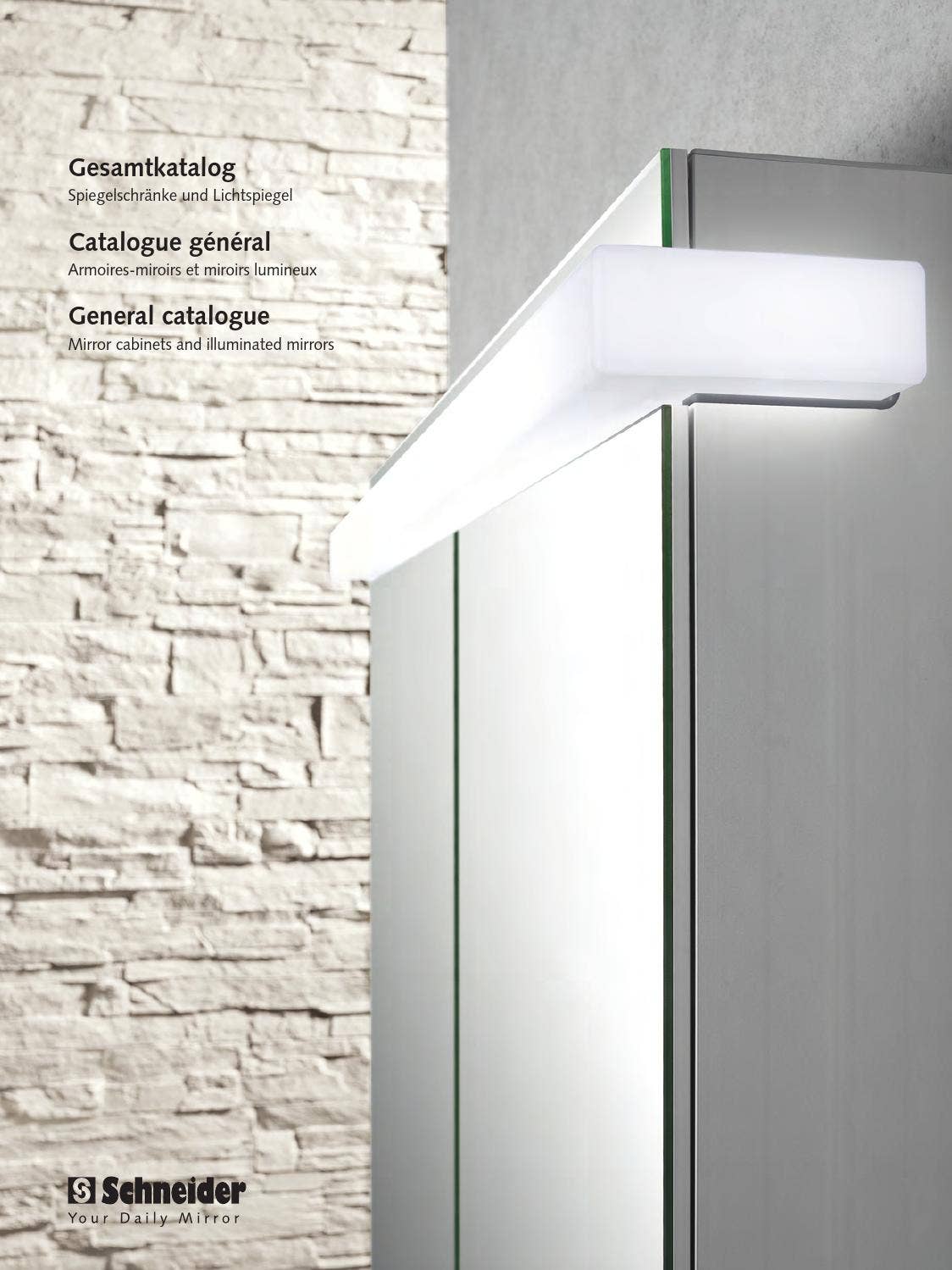 Schneider by Kernohan Distribution - Issuu