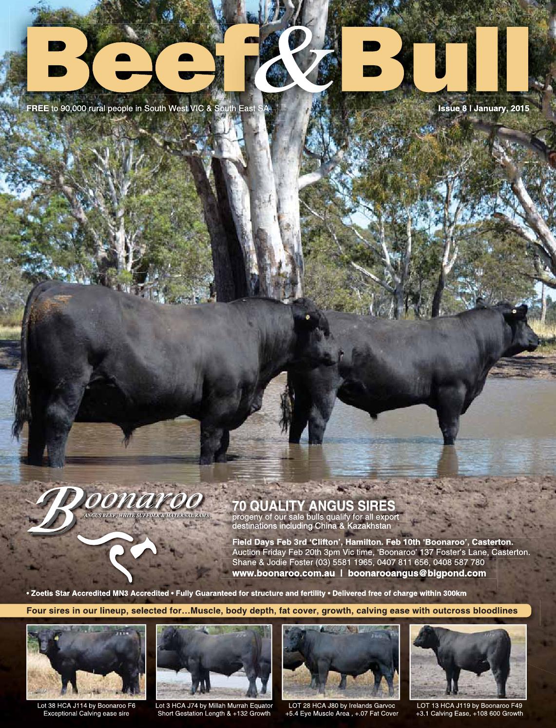 Beef & Bull magazine Issue 8 by Crocmedia Lifestyle1 - Issuu