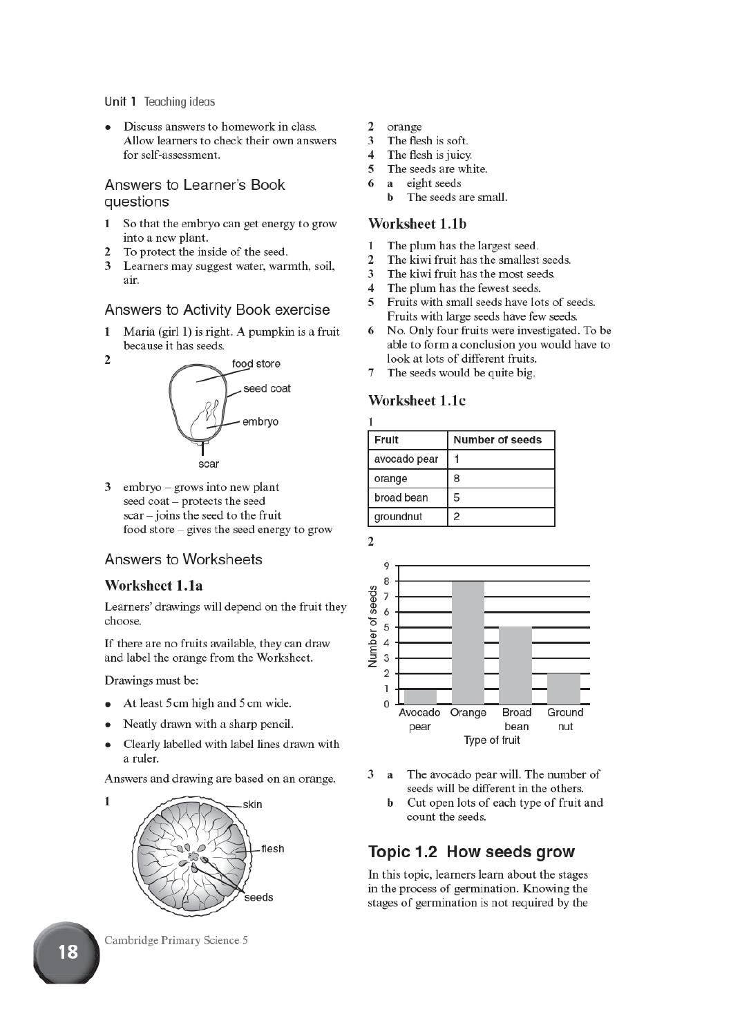Preview Cambridge Primary Science Teacher's Resource Book Stage 5 by ...