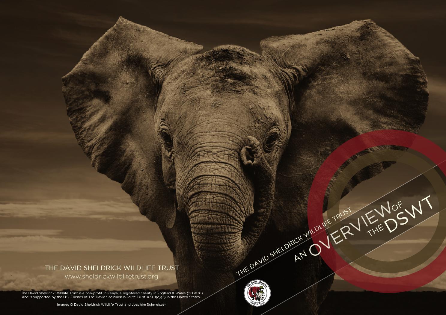 An Overview of the DSWT by Sheldrick Wildlife Trust - Issuu