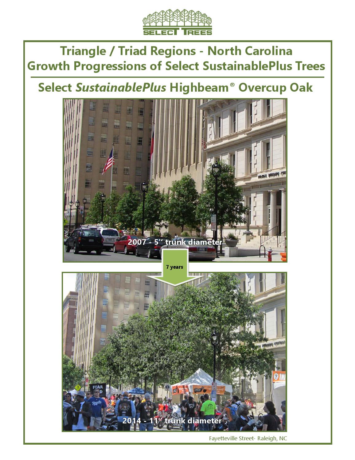 Triangle & Triad Regions - North Carolina Progressions by Select Trees ...