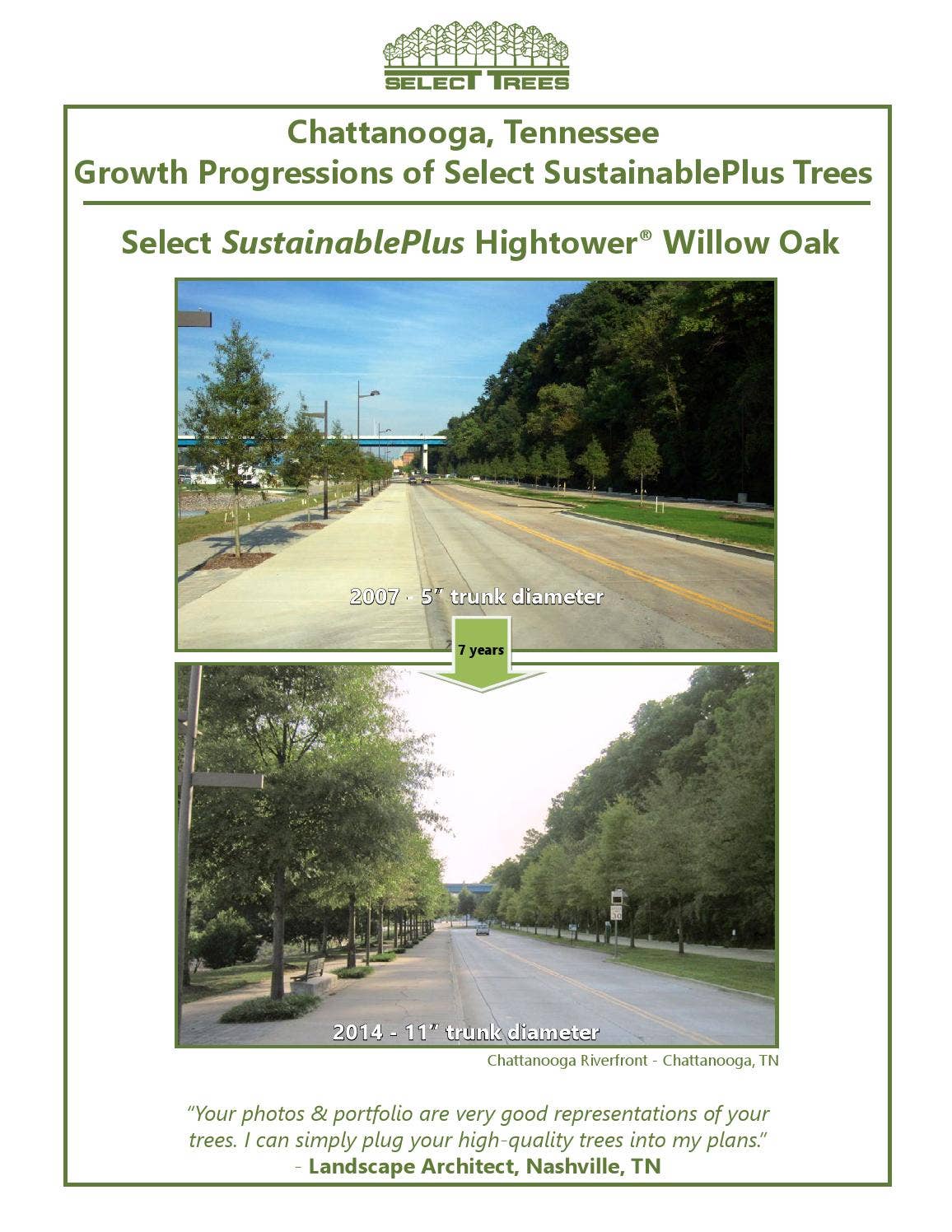 Chattanooga, TN Progressions - Select Trees by Select Trees - Issuu
