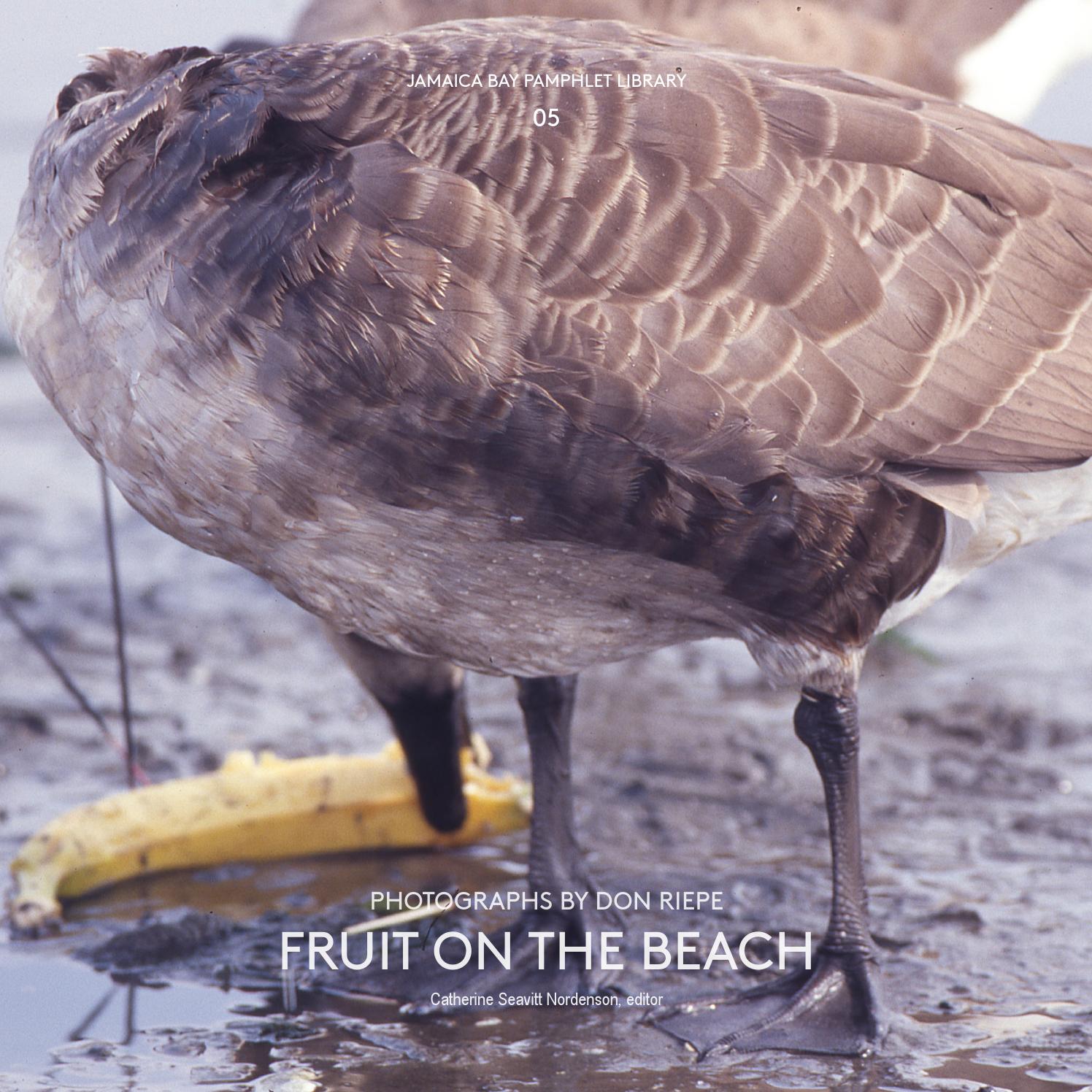 Fruit on the Beach Photographs of Jamaica Bay by Don Riepe by CCNY ...