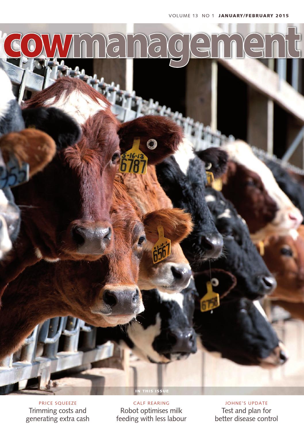 Cowmanagementuk janfeb2015 by CRV Uitgeverij/CRV Publishers - Issuu