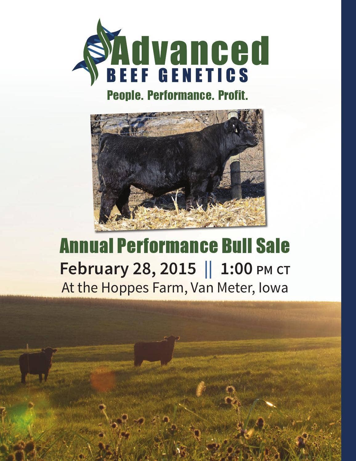 Advanced Beef Genetics - 2015 Performance Bull Sale by LivestockDirect ...