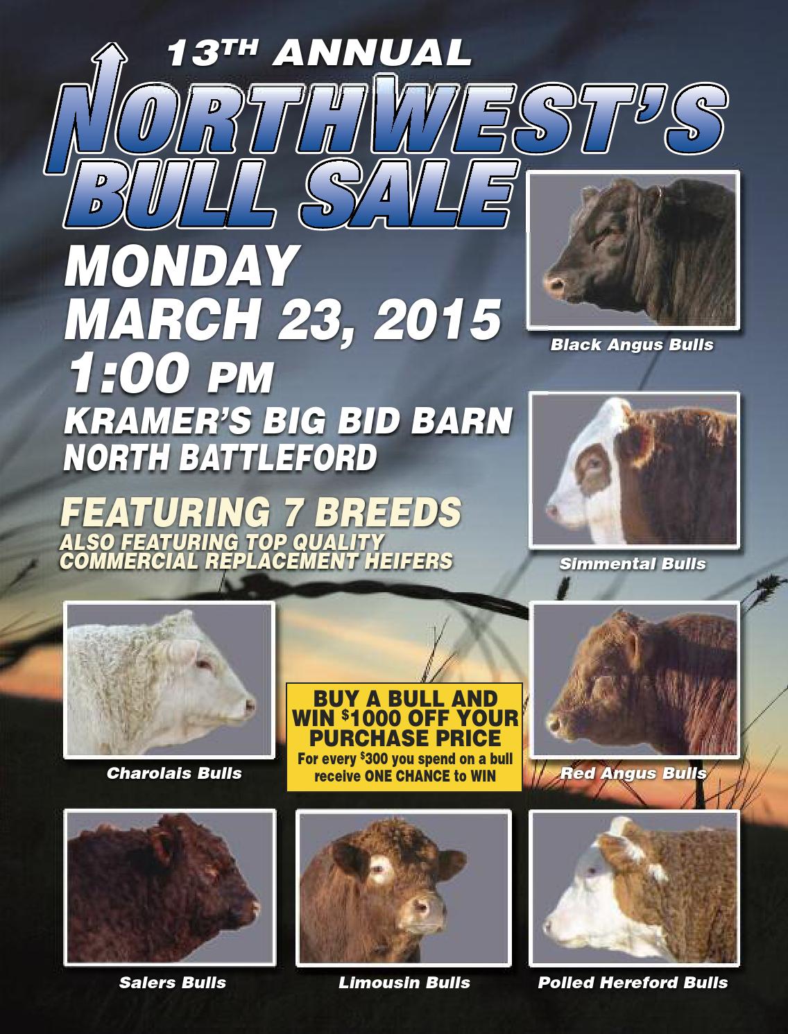 North West Bull Sale by Today's Publishing Inc. - Issuu