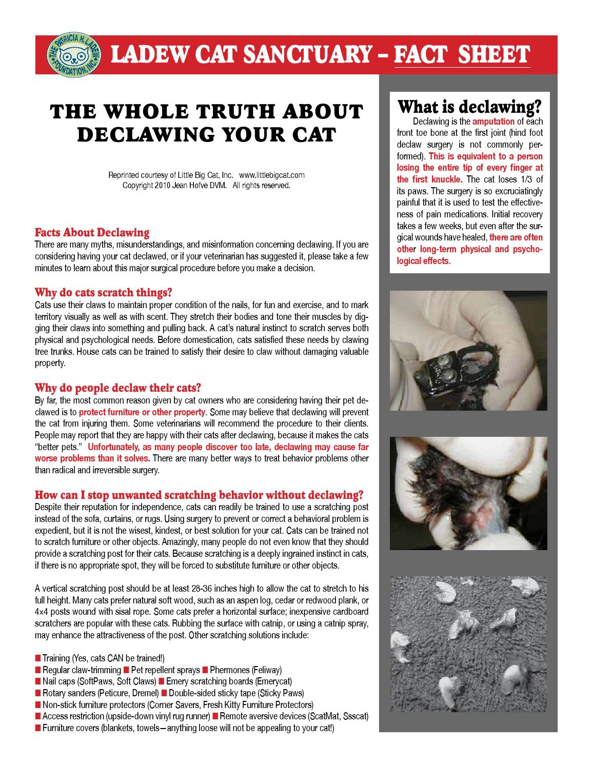 *declawing fact sheet by Susan Whittred - Issuu