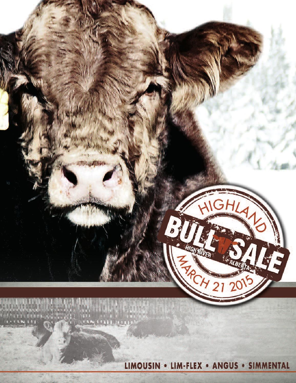 Highland Stock Farms Bull Sale 2015 by Bohrson Marketing Services Ltd ...
