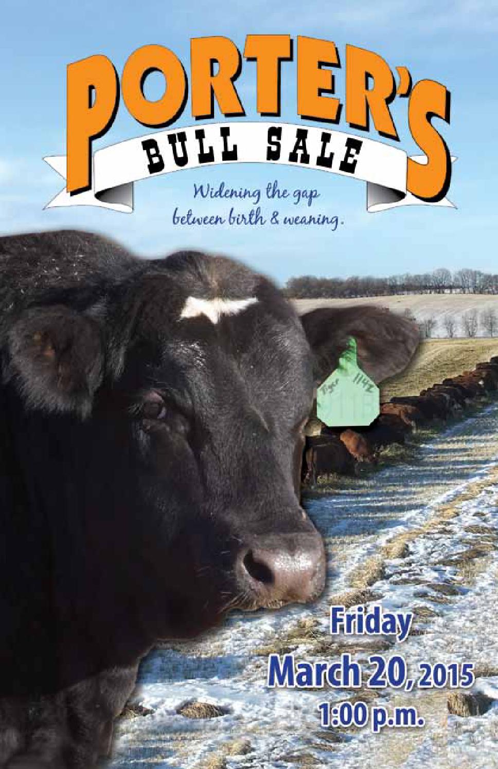 Porter's Bull Sale 2015 by Bohrson Marketing Services Ltd. - Issuu