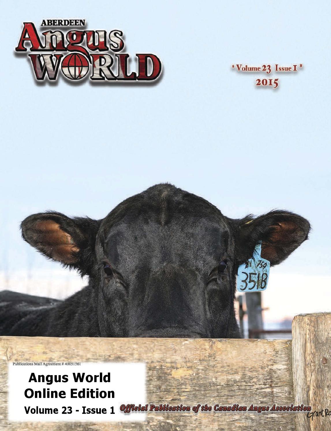 Angus World Volume 23, Issue 1 by Everything Angus - Issuu