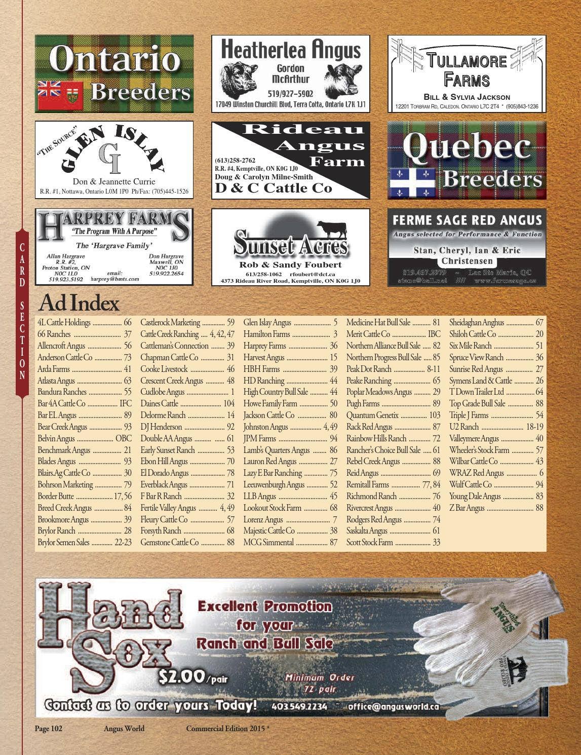 Angus World Volume 23, Issue 1 by Everything Angus - Issuu