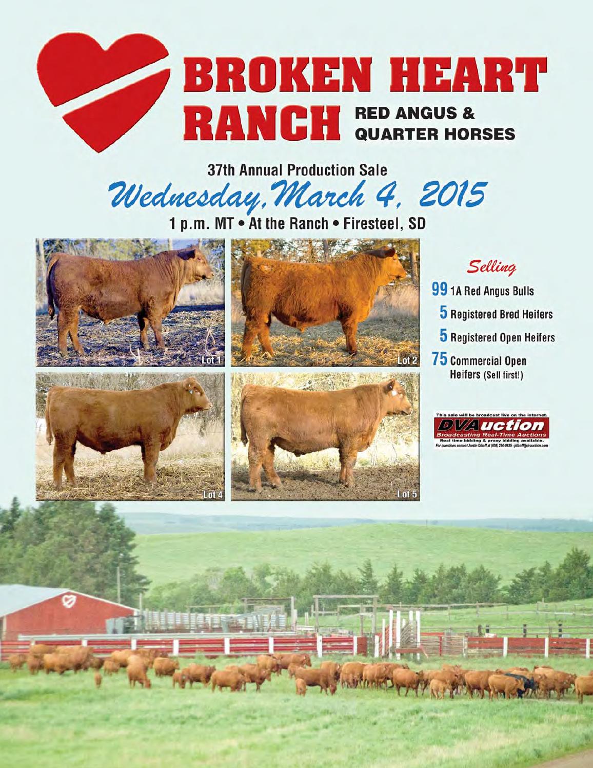 Broken Heart Ranch Production Sale by Tracy McMurphy - Issuu