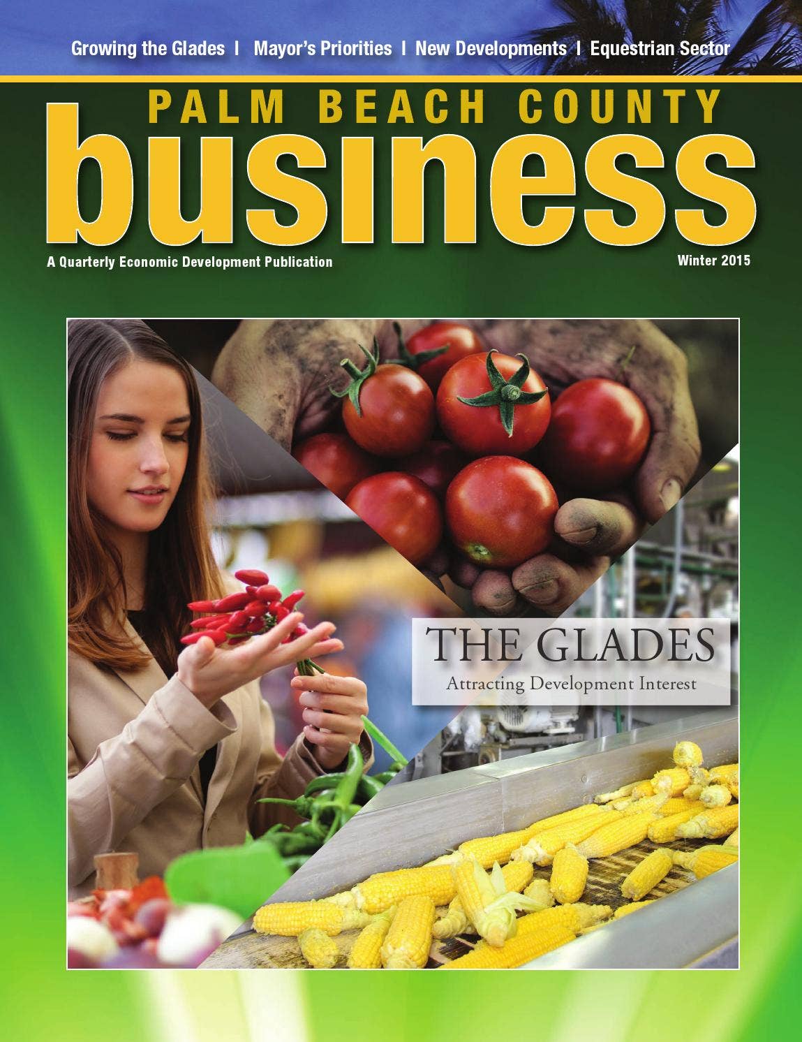 Palm Beach County Business Magazine (Winter 2015) by Passport ...