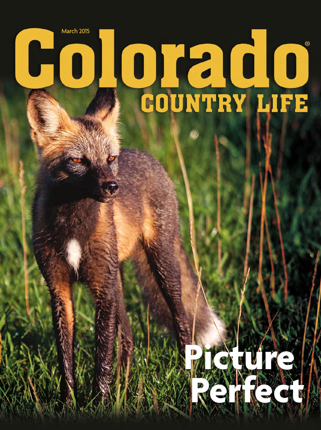 Colorado Country Life March 2015 by American MainStreet Publications ...