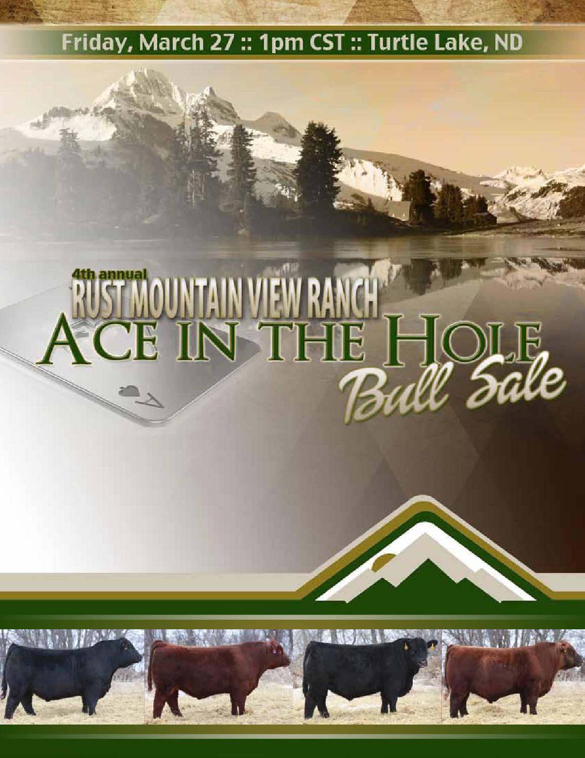 Rust Mountain View Ranch "Ace in the Hole" Bull Sale 2015 by Bohrson ...