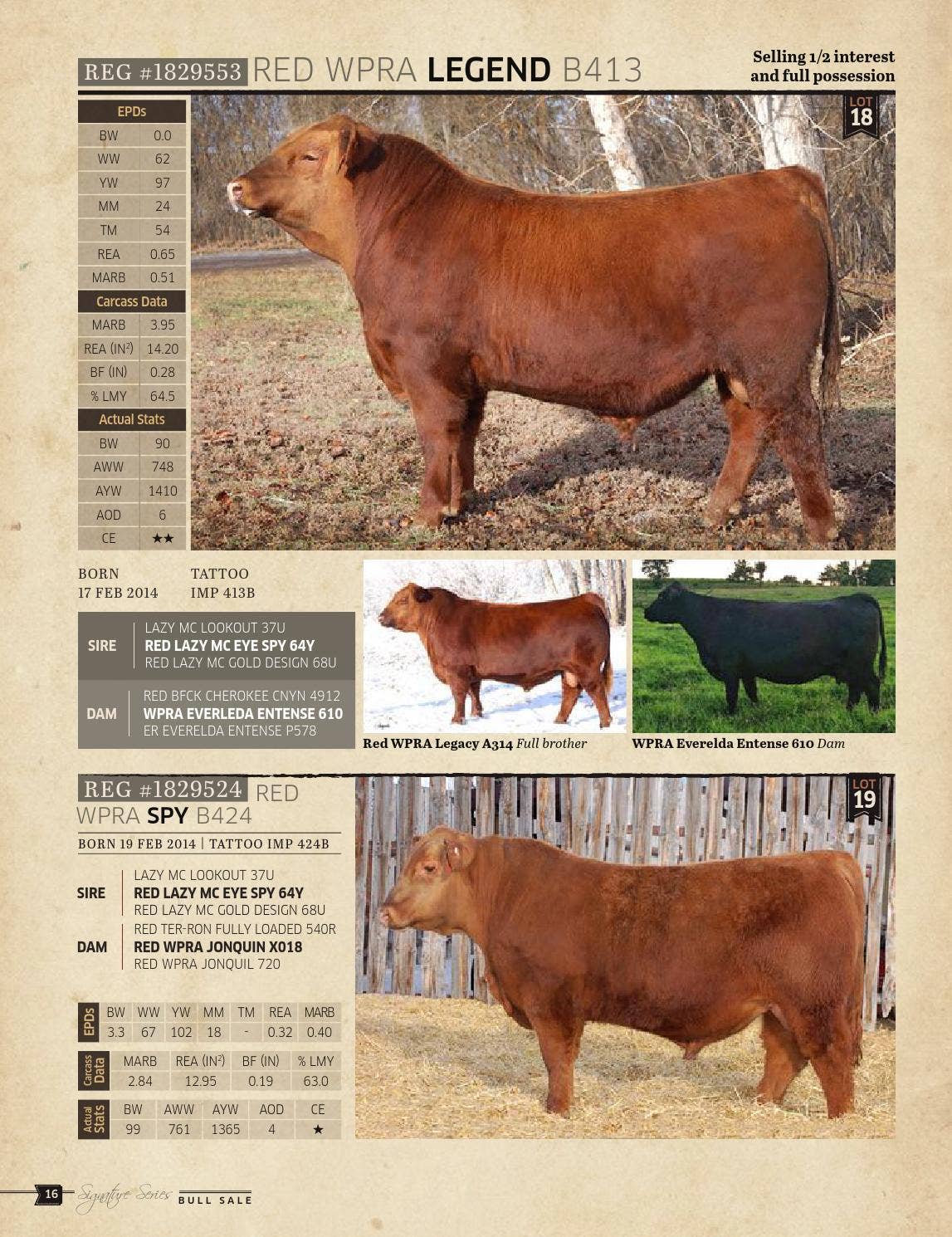 2015 Signature Series Bull Sale by Catalogs by Top Stock - Issuu