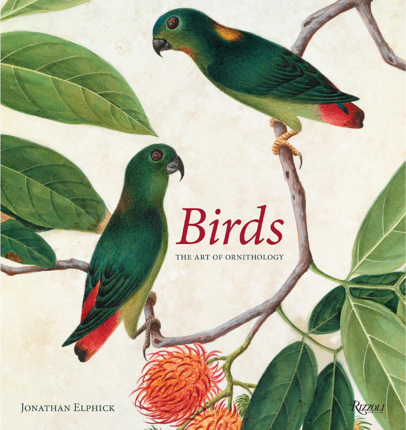 Birds: The Art of Ornithology by Rizzoli International Publications - Issuu