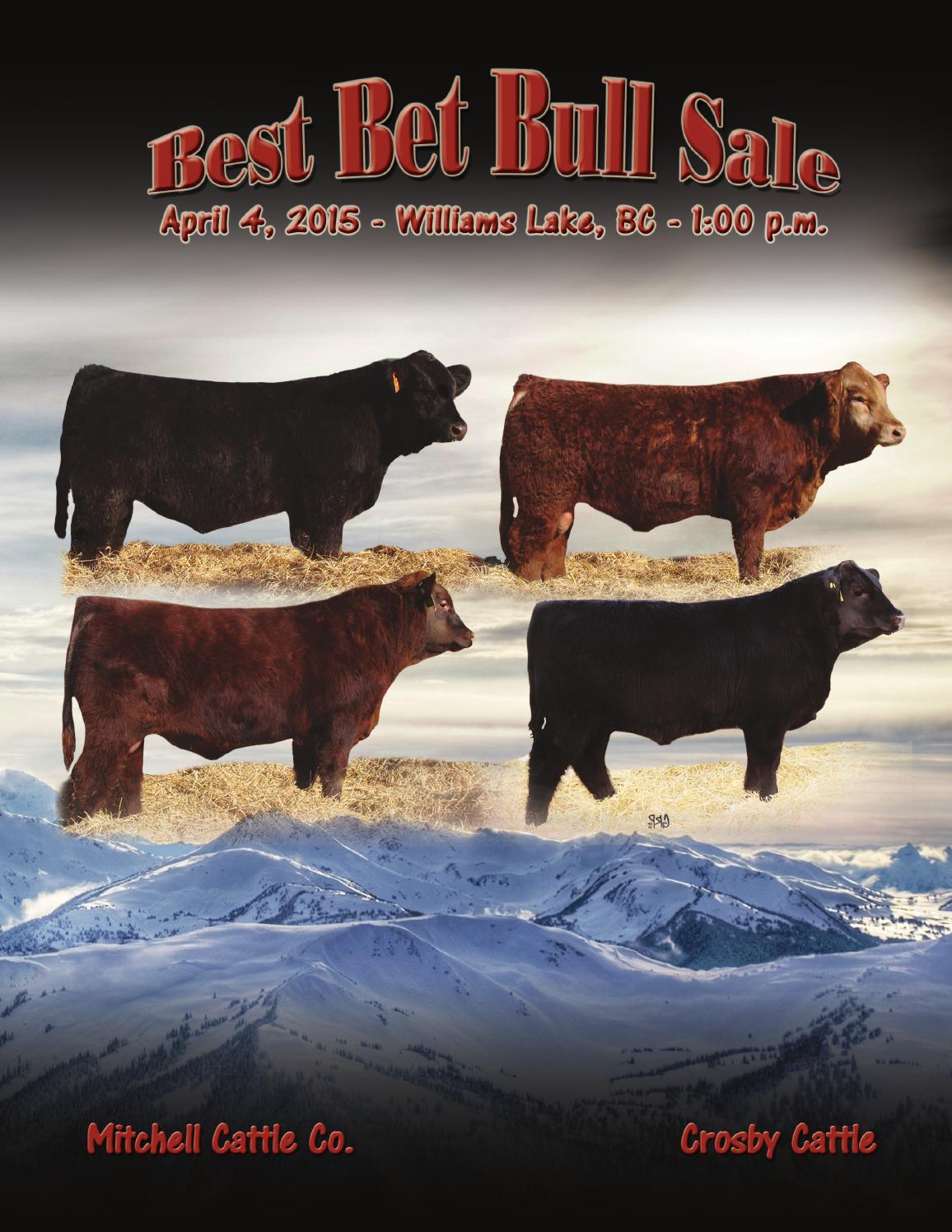 Best Bet Bull Sale 2015 by Today's Publishing Inc. - Issuu