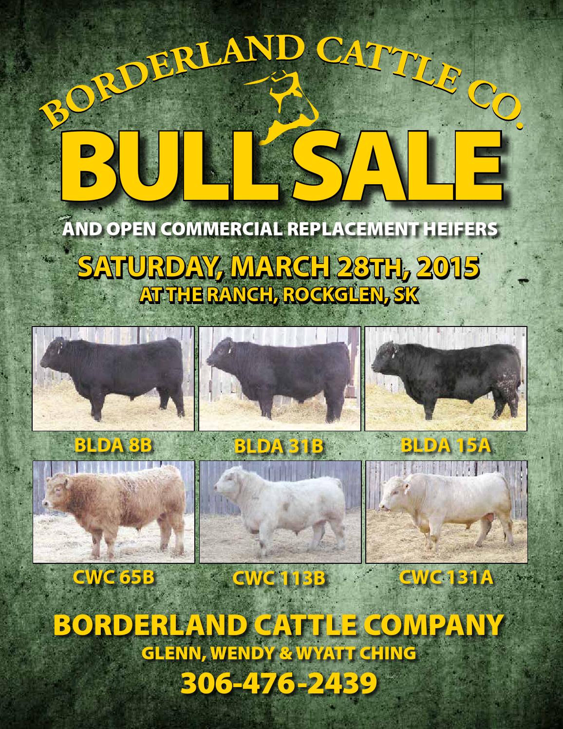 Bull sale 2015 online catalogue by Charolais Banner - Issuu