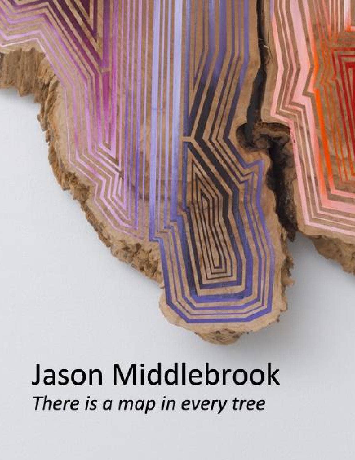 Jason Middlebrook 'There is a map in every tree' by Monique Meloche ...