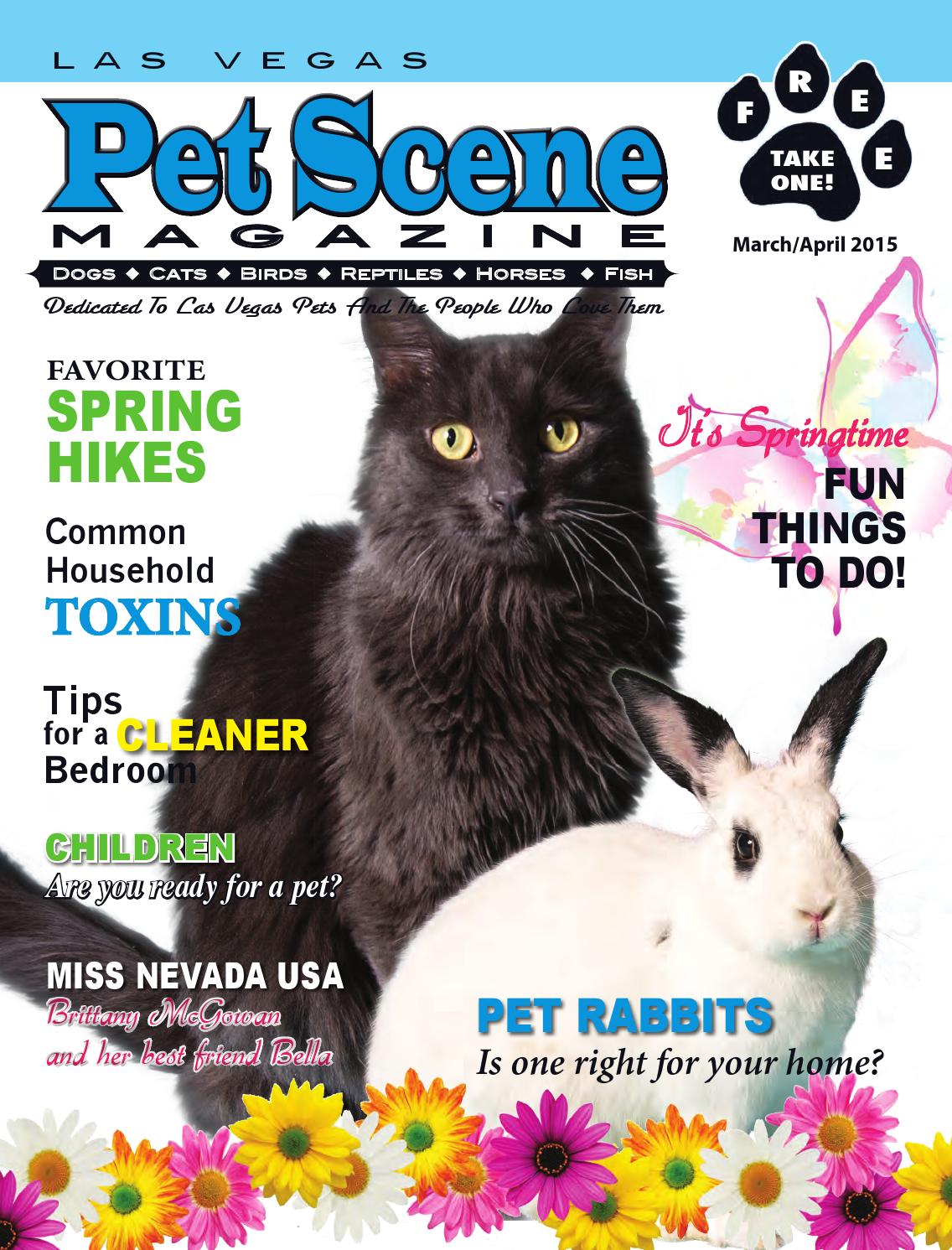 Las Vegas Pet Scene Magazine - March/April by Homes Illustrated/LV Pet ...