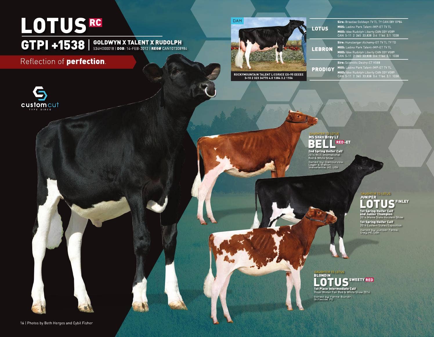 Jetstream and Accelerated Genetics Sire Portfolio by jetstream genetics ...